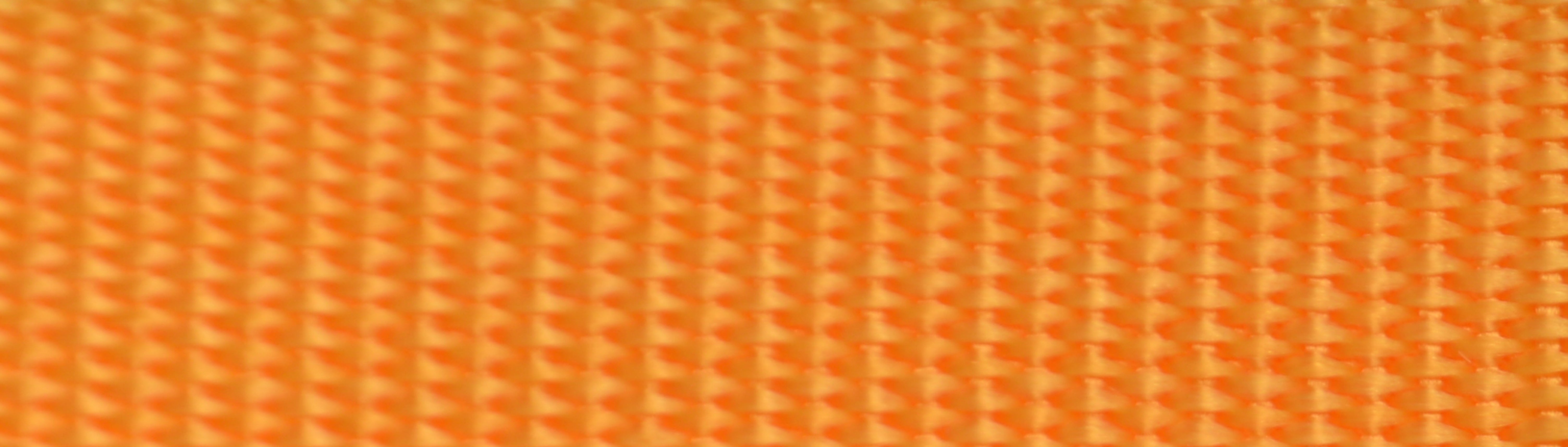 POLYPROPYLENE Webbing 605 - Gold – CROSS LINKS TRADE